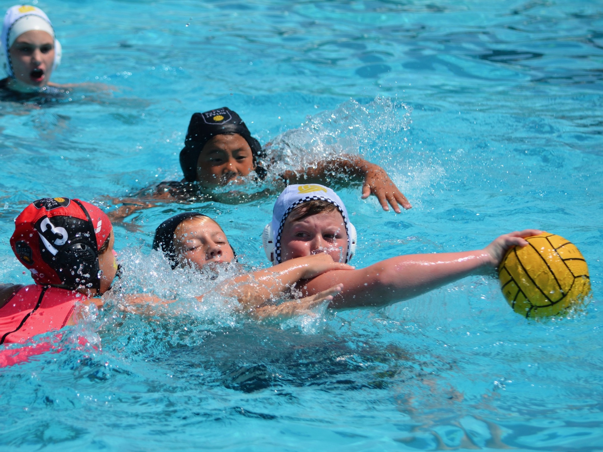 Yolo Water Polo Club – Youth & Masters Water Polo in Lamorinda